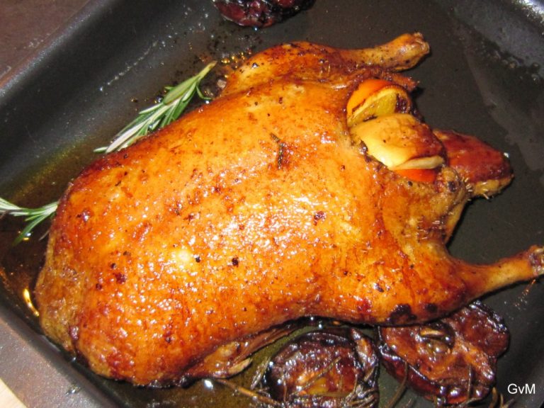 Ente im Bräter – Gudrun von Mödling